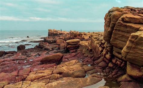 Trần Thị Thanh Thúy Chia Sẻ Khát Khao Lớn Khi Chơi Bóng Chuyền ở Thổ Nhĩ Kỳ