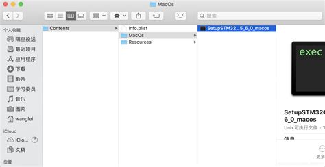 Macos 烧写stm32 Leiwang1999