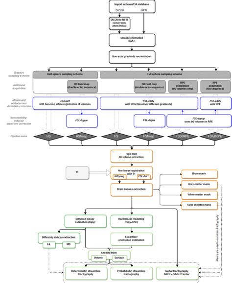 workflow of the diffuse toolbox for dwi data processing implemented