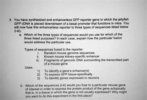 solved you have synthesized and enhancerless gfp reporter gene in