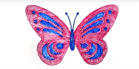 Как нарисовать бабочку пошагово карандашом легкие способы создания красивого рисунка