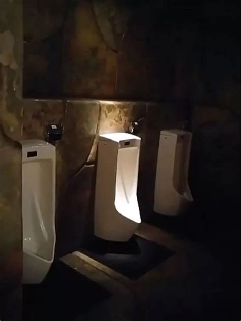 Halle Loo Jah Temple Like Super Toilet Gives Users Divine Experience