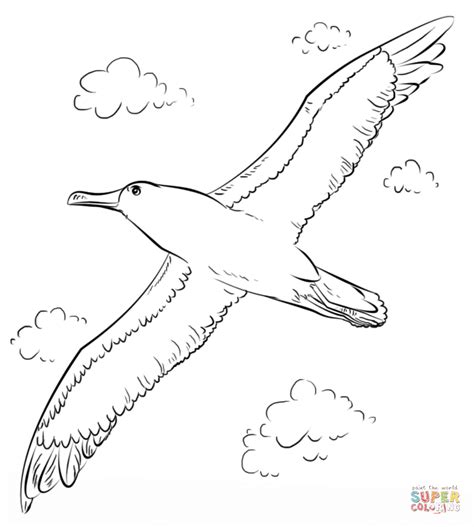Desenho De Albatroz Errante Pássaro Perdiz Cinzento Sobre Fundo