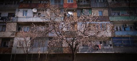 აფრიკა Afrika მთავარი ჯგუფი Facebook