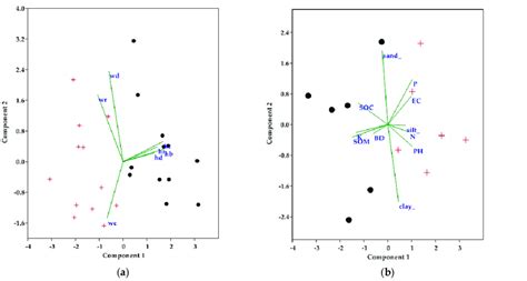 Principal Component Analysis Correlation Variance Diagram Based On Download Scientific