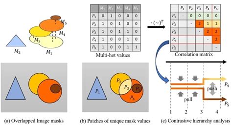Regsegfield Mask Regularization And Hierarchical Segmentation For