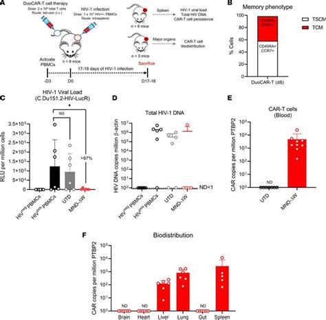 Jci Insight In Vivo Killing Of Primary Hiv Infected Cells By Peripheral Injected Early Memory