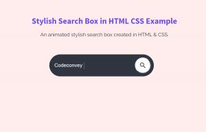 Stylish Search Box In HTML CSS With Icon