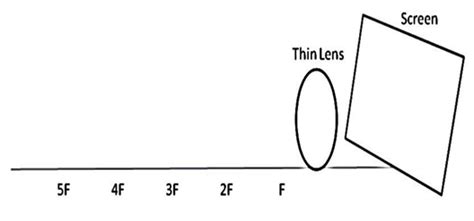 31 Physics Learnfast Review And Tutorial Hub