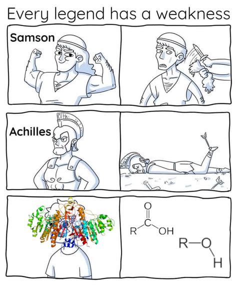 New Day New Biochemistry Meme Rchemistrymemes