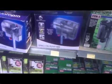 How Often Should You Change Biological Filter Media