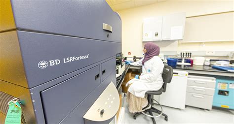 Flow Cytometry Core Facility Facs Core