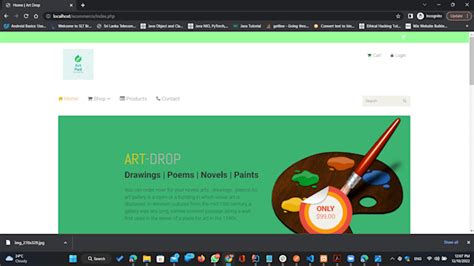 Fix Bugs Develop Software Backend Do Frontend Development By
