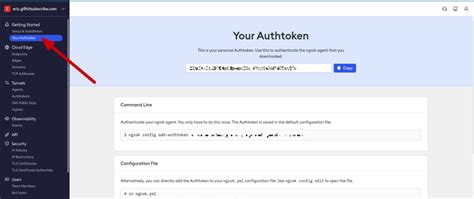 Ingress Kubernetes Example With Ngrok The New Stack