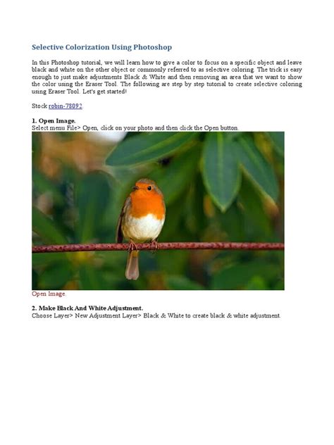 Selective Colorization Using Photoshop Pdf