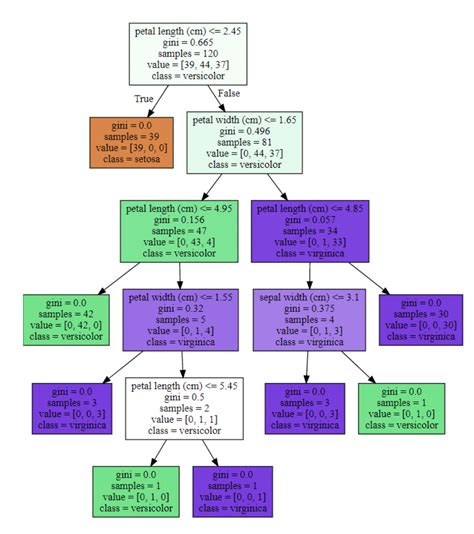 Decision Tree Classifier Jang Minjee