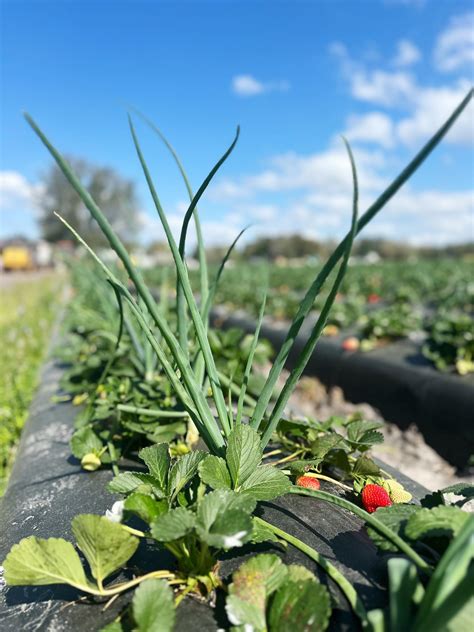 March 30 2025 Morning Worship March 30 2025 Morning Worship Thanks For Joining Us This