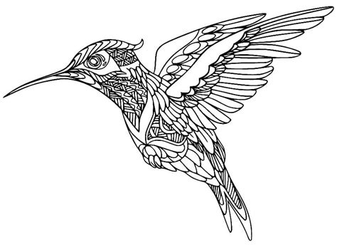 Zentangle Sinek Kuşu Boyama Sayfası Boyama Online