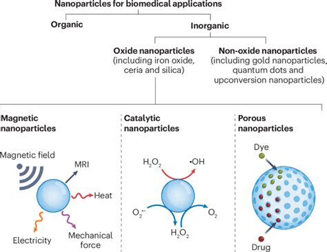 Design Of Oxide Nanoparticles For Biomedical Applications Nature
