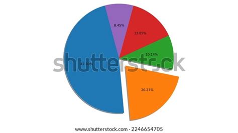 This Illustration Shows Pie Chart Percentages Stock Illustration