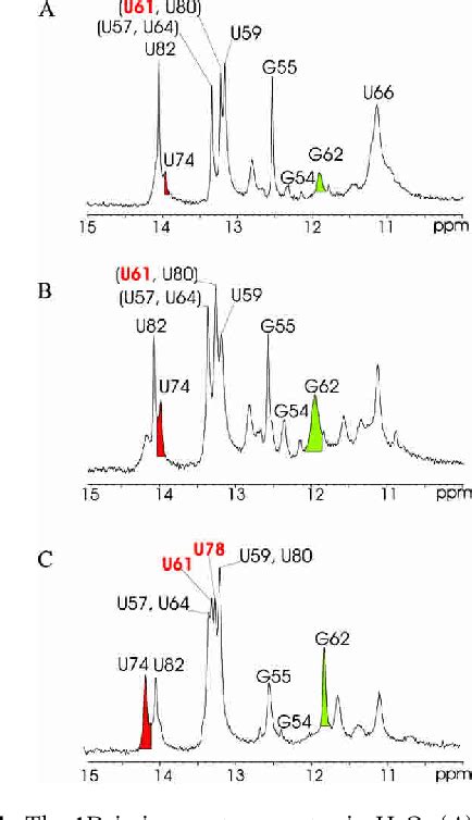 Figure 1 From Nmr Structure Of The Apob Mrna Stem Loop And Its Interaction With The C To U