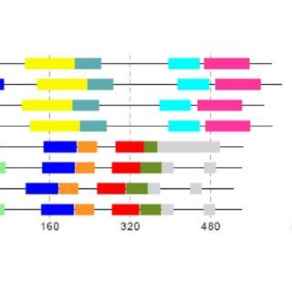Evolutionary Relationship Left Sequence Prediction Middle And Gene Download Scientific