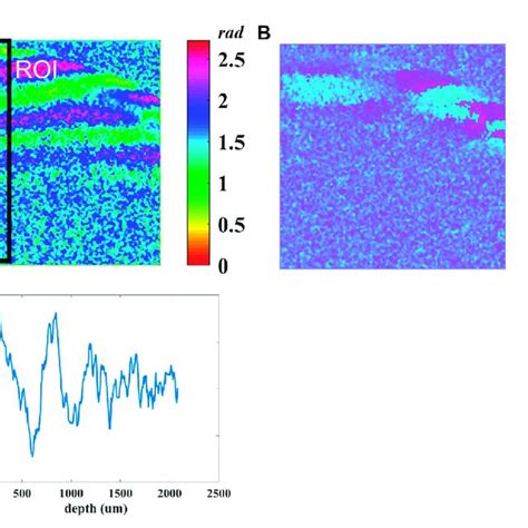 A Cumulative Phase Retardance δ And B The Fast Axis Orientation θ Download Scientific