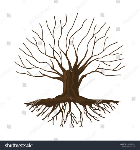 Vector Illustration Naked Tree On White Stock Vector Royalty Free Shutterstock