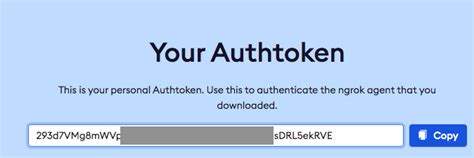 Build A Light Way Remote Desktop Ngrok X11vnc Server Novnc By