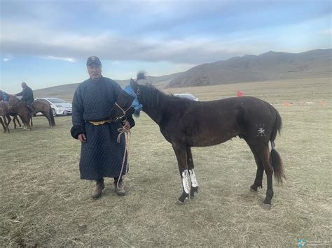 ОЧИРВААНИЙ ХҮЛЭГ МСУХолбоо Булган аймгийн Орхон суманд болсон уралдаан