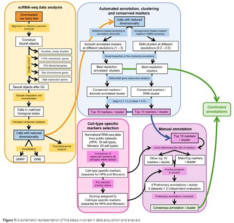 Scrnaseq Bioinformatics Singlecell Slovenian Veterinary Research