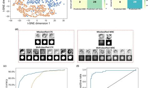 Data Analyzing In Microfluidic Experiments With Machine Learning Bio Nano Interface Lab