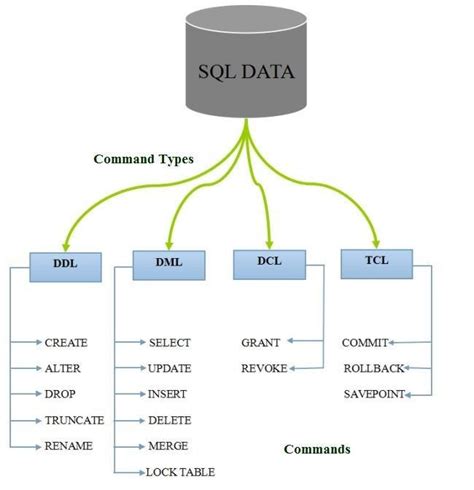 Normalization And Commands In Sql By Rayyan Karimi Medium
