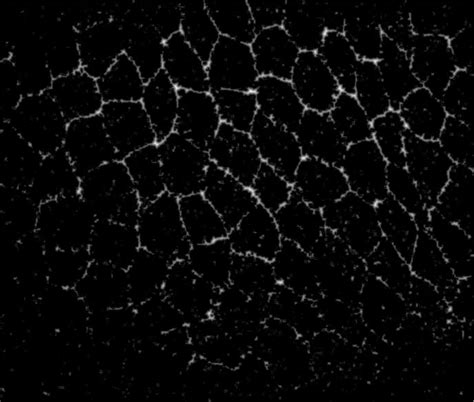 Filtering How To Get Cell Boundaries In The Image Mathematica Stack Exchange