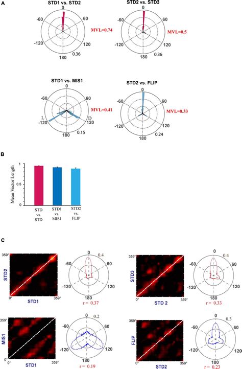 Representation Of Rotational Correlation Of Place Field Population In