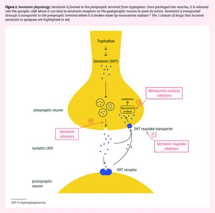 Demystifying Serotonin Syndrome Or Serotonin Toxicity The College