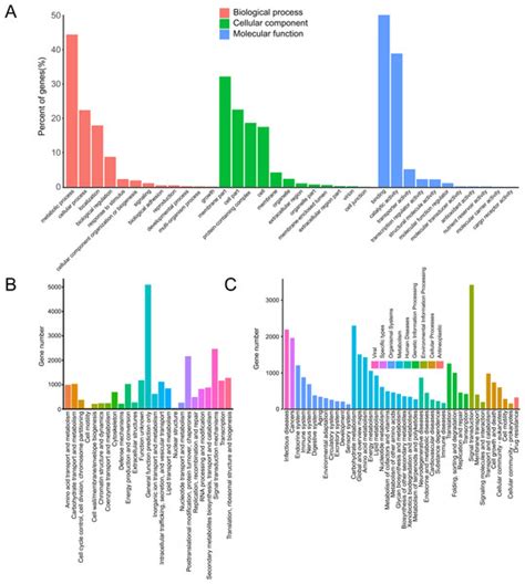 Comparative Transcriptomic Analysis Reveals The Cold Acclimation During