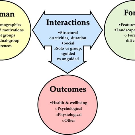 Forest Therapy Interaction Process Download Scientific Diagram