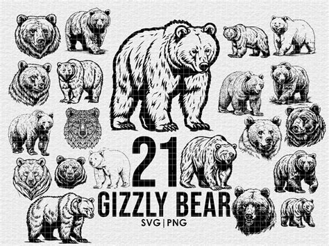 Gizzly Bear Vector Illustration Bundle Svg Png Bundle Digital
