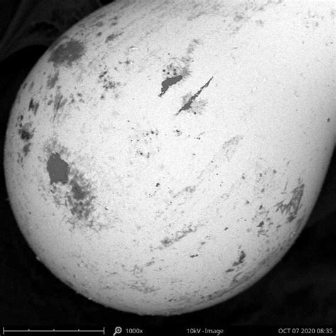 Sem Image Of The Microsphere Sensor With A 100 Nm Zno Atomic Layer Download Scientific Diagram