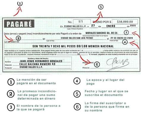 Carta De Pagare Ejemplo