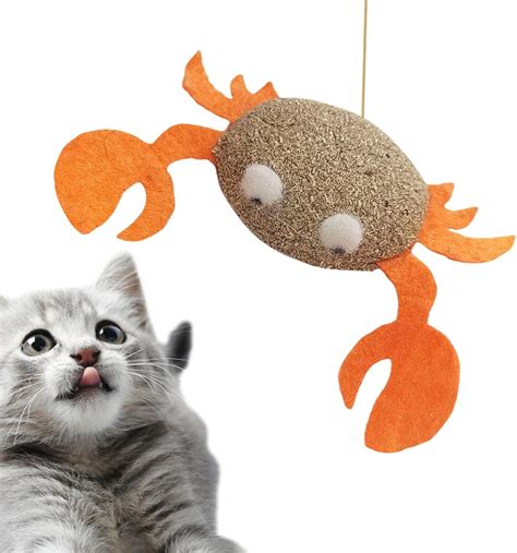 Tytlyworth Catnip Cat Toys Cartoons Edible Catnip Ball Safety Healthy Cat Cats Molar Teeth