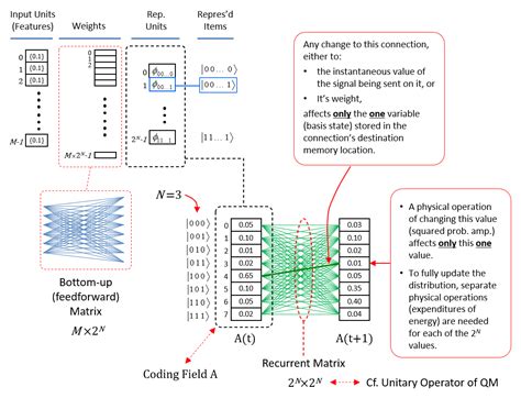 The Classical Realization Of Quantum Parallelism Cell Assemblies The Physical Basis Of Memory