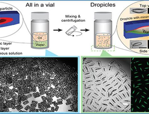 Microfluidic Single Cell Rna Sequencing Rna Seq On 198 Individual