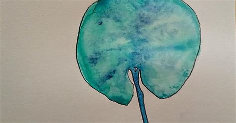 New Painting From The Voynich Manuscript Pg6 Album On Imgur