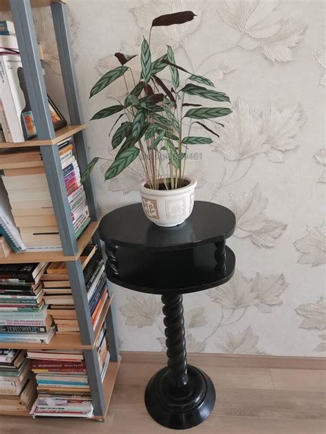 Стайно растение Калатея Цветя декоративни растения София Цената е за цветето със сакс