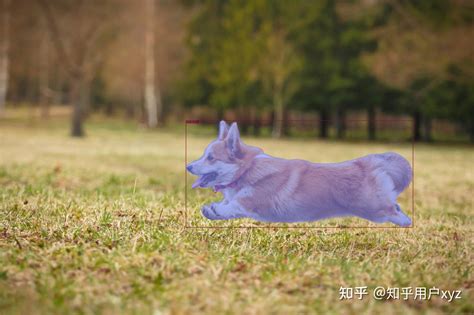 在onnx Runtime框架下实现yolov8部署：同时支持目标检测和实例分割；还支持自定义训练结果 知乎