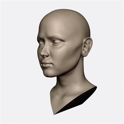 Female Head Eurasian Human Heads Models Blenderkit