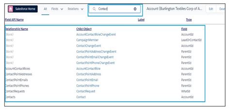 Salesforce Inspector Cloudely