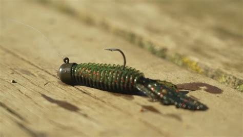 Ned Rig Vs Texas Rig Which Fishing Technique Reigns Supreme Kayak